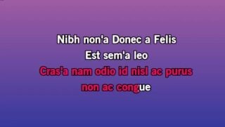 Personnalisez les paroles de la chanson Build a Bitch rendu célèbre par ...