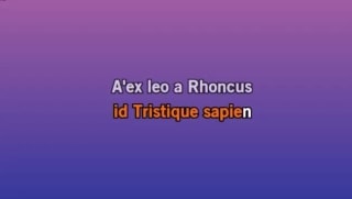 Customize the song lyrics Houston Solution made famous by Ronnie Milsap