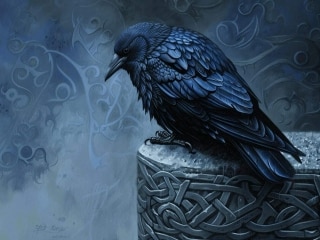 A Bird Without Wings - Celtic Thunder - Custom Backing Track - Karaoke ...