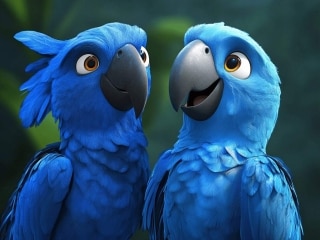 Karaoke Fly Love - Video with Lyrics - Rio (film)