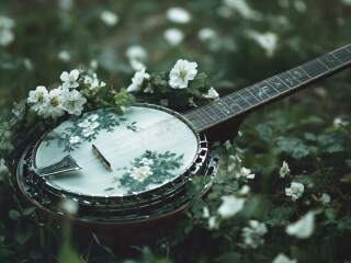 Wagon Wheel, Take It Easy & Country Roads (mashup) - DisCovers - Custom ...