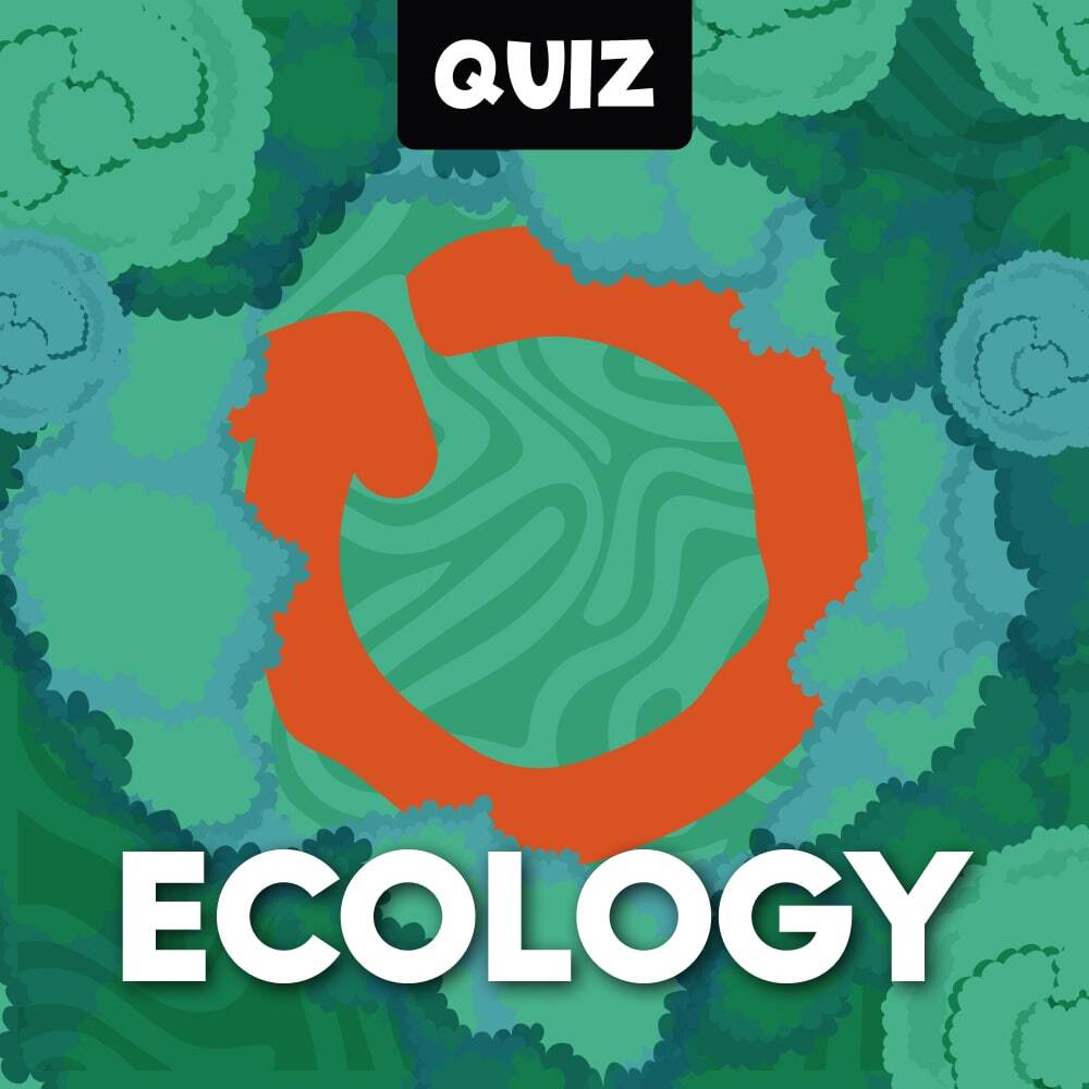 Discover the Ecology Quiz on our app! | KaraFun
