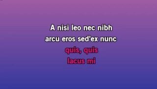 Customize the song lyrics catch these fists made famous by Wet Leg