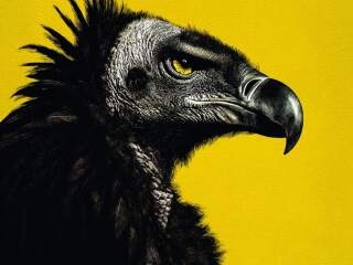 Karaoke Nico and the Niners - Video with Lyrics - Twenty One Pilots