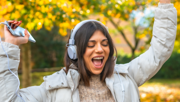 Online Karaoke with a wide selection of songs on KaraFun