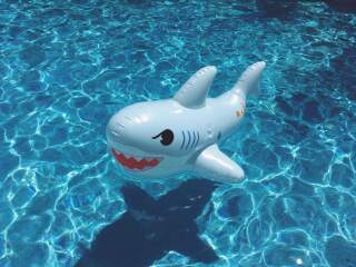 Baby Shark - Bass Backing Track - Ralan Styles - Instrumental Version