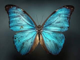 Constance - Drum Backing Track - Spiritbox - Drumless Tracks