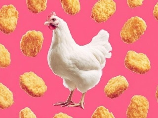 Karaoke Chicken Nugget Song - Video with Lyrics - Nick Bean